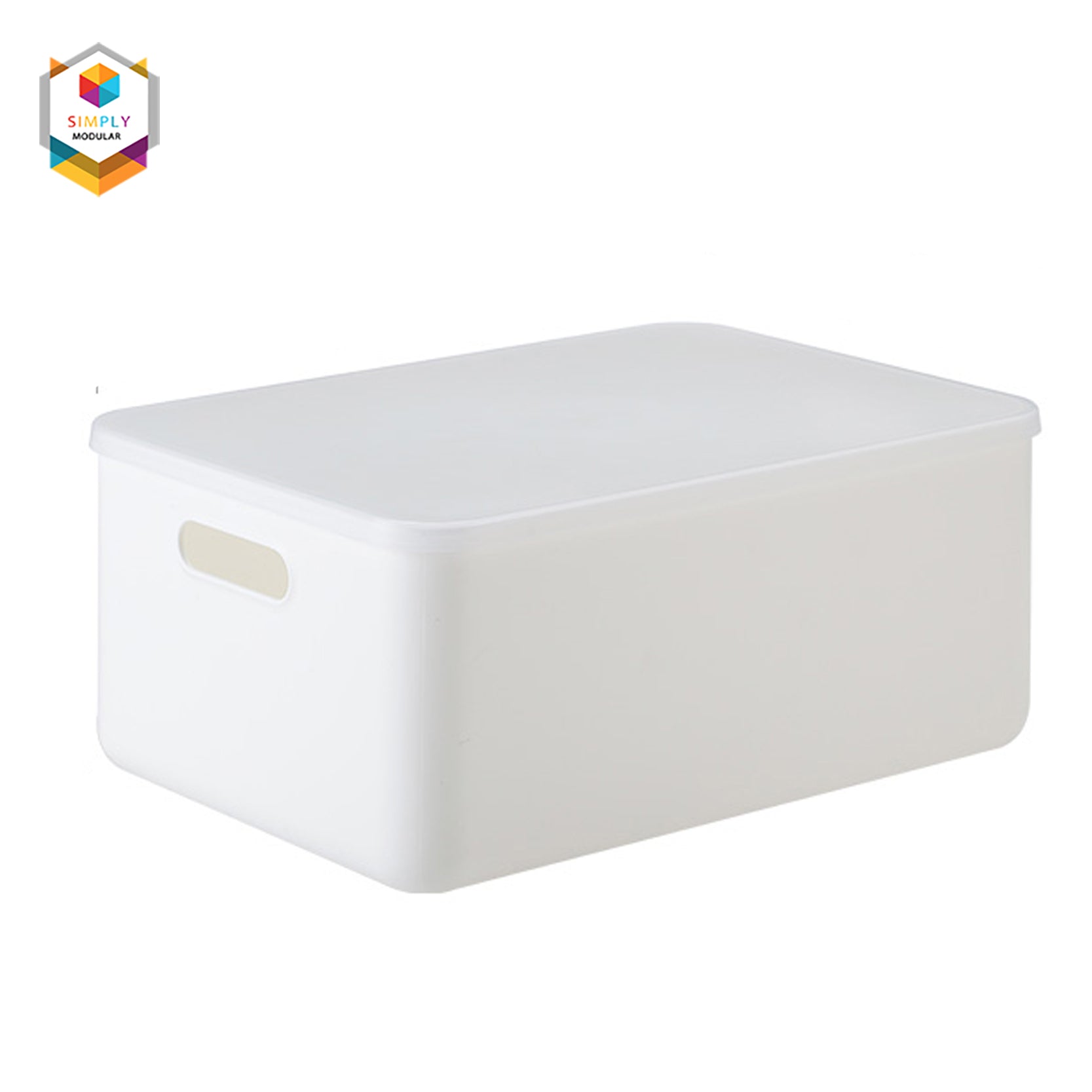 Shimoyama Muji Style Large White Handled Storage Box Organizer with Li